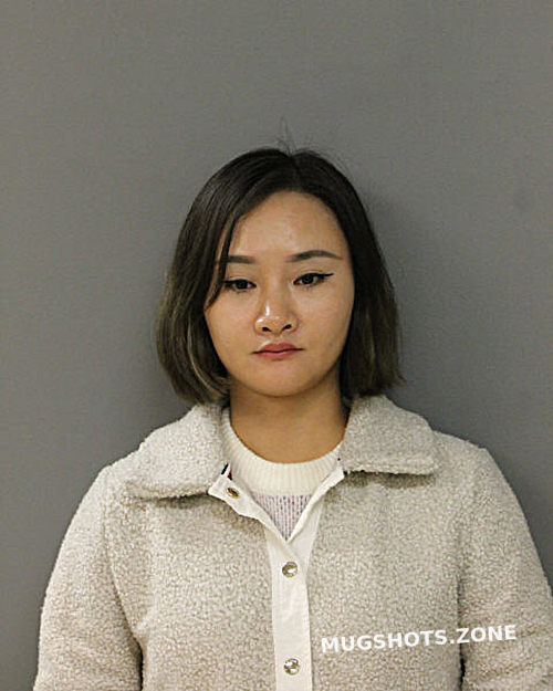 JANE DOE 11/23/2024 - Chicago Mugshots Zone