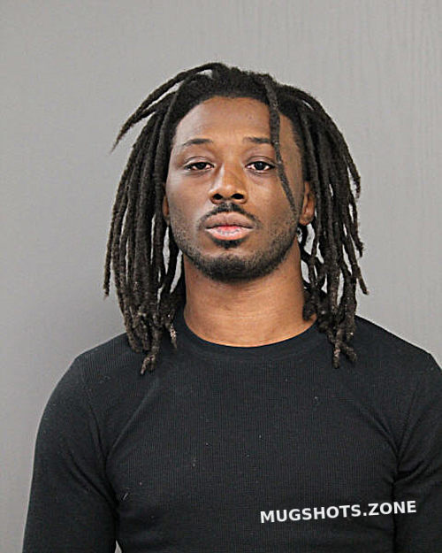 ERIC L WILSON 11/23/2024 - Chicago Mugshots Zone