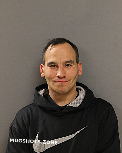 NICHOLAS M ANDERSON 11/24/2024 - Chicago Mugshots Zone