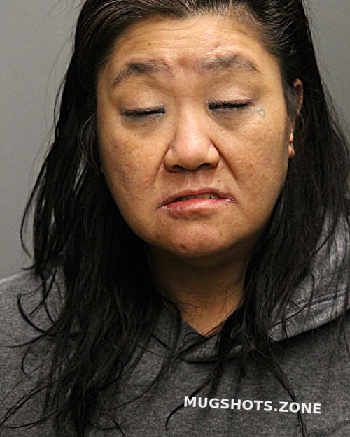 AMY WON 11/24/2024 - Chicago Mugshots Zone