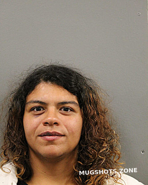 ELIAYAH M DEL VALLE 11/27/2024 - Chicago Mugshots Zone