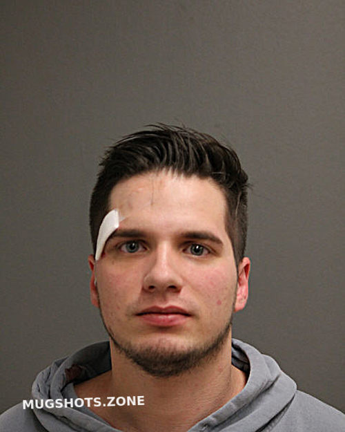 BRETT DONALD LANZARA 11/28/2024 - Chicago Mugshots Zone