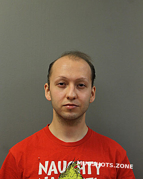 ANDREW L LOWRY GILL 11/29/2024 - Chicago Mugshots Zone