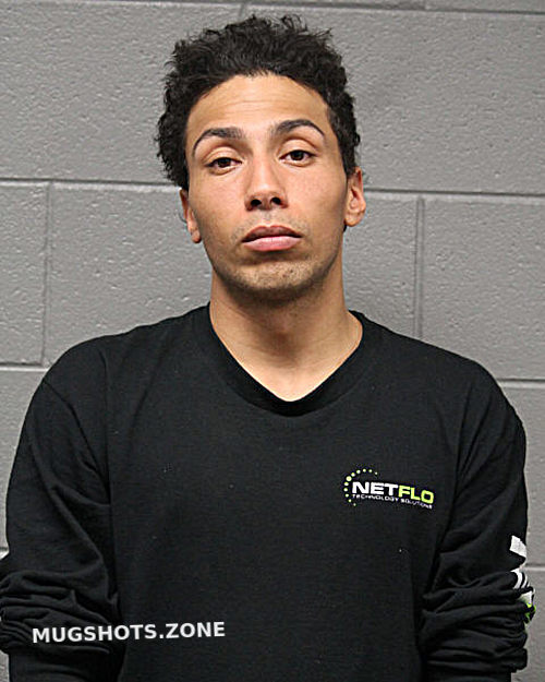 JESSE M MODJESKI 11/29/2024 - Chicago Mugshots Zone