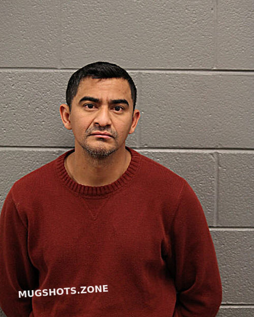 MARIO VERA FARRO 11/30/2024 - Chicago Mugshots Zone