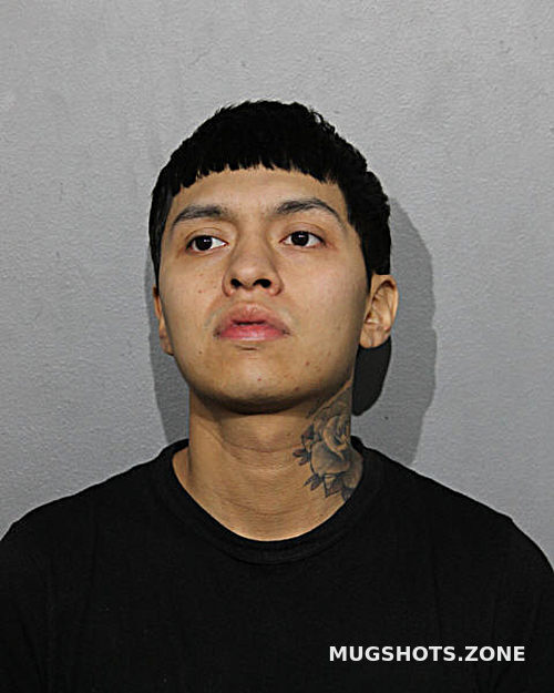 CARLOS J FABIAN 11/30/2024 - Chicago Mugshots Zone