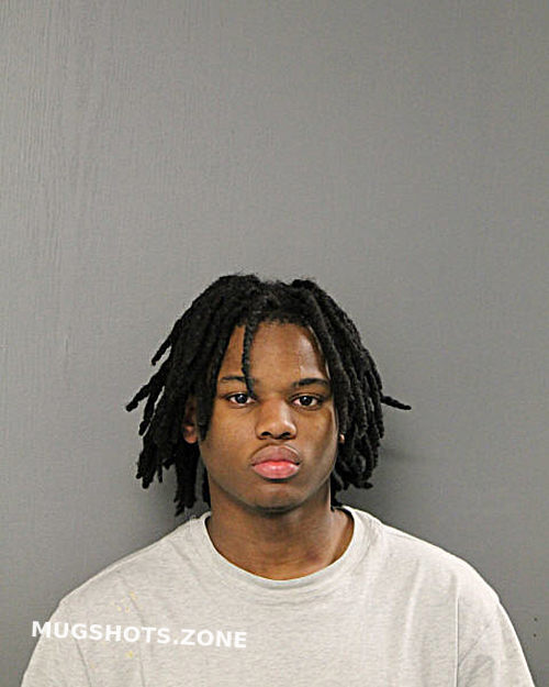 DEONTE E FIELDS 12/04/2024 - Chicago Mugshots Zone