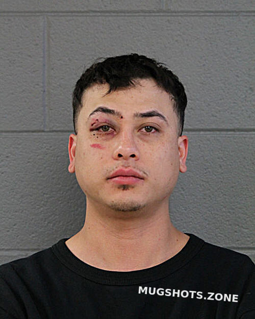 ALEXIS SALAZAR 12/08/2024 - Chicago Mugshots Zone
