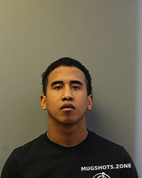 ALEXANDER DANIEL CASTILLO RANGEL 12/14/2024 - Chicago Mugshots Zone