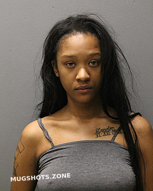 VICTORIA SANTIAGO 12/20/2024 - Chicago Mugshots Zone