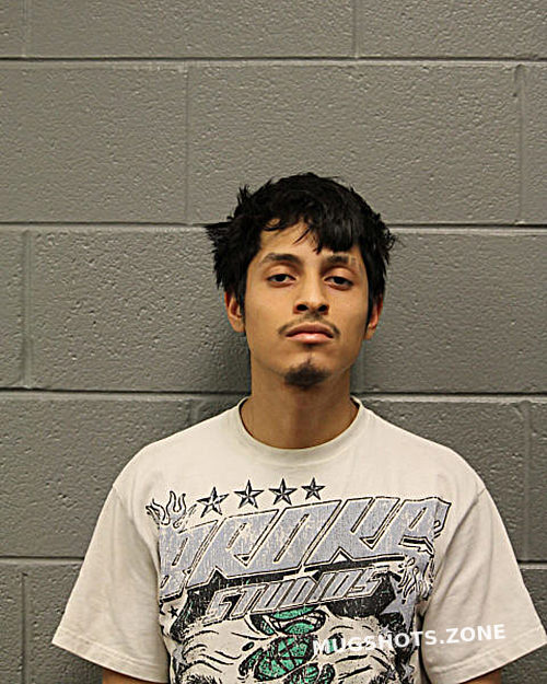 AXEL CORTES 12/20/2024 - Chicago Mugshots Zone