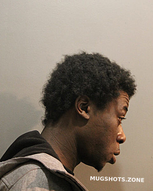 MICHAEL DECOREY JOHNSON 12/22/2024 - Chicago Mugshots Zone