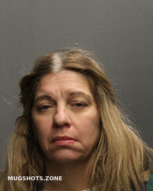 JENNIFER L STEPHENS 12/22/2024 - Chicago Mugshots Zone