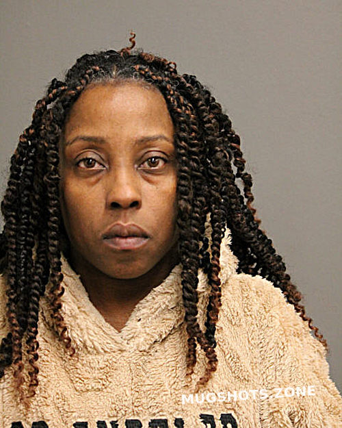 JANIE C HILL 12/23/2024 - Chicago Mugshots Zone