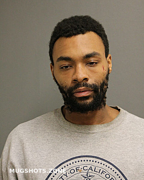 DEVIN E ANDERSON 12/24/2024 - Chicago Mugshots Zone
