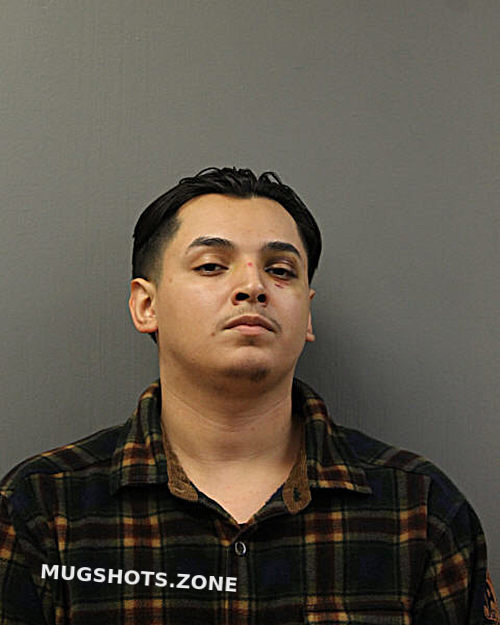 RALEIGH A ARRIAGA 12/25/2024 - Chicago Mugshots Zone
