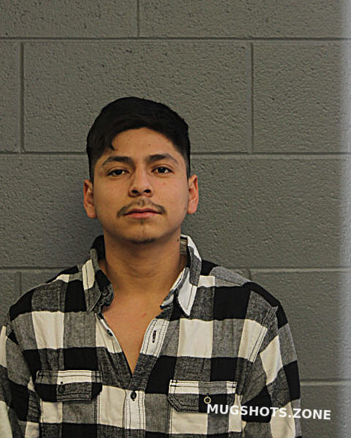 AARON ALDAY-ARANDA 12/25/2024 - Chicago Mugshots Zone