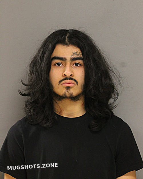 EDGAR A CABADA 12/25/2024 - Chicago Mugshots Zone