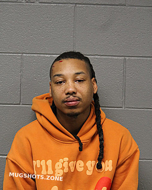 TIMOTHY E WHITE 12/26/2024 - Chicago Mugshots Zone