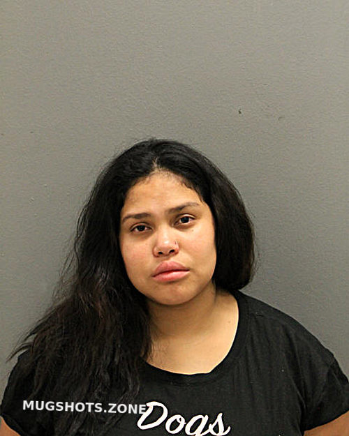 MARIA ELISA B 12/27/2024 - Chicago Mugshots Zone