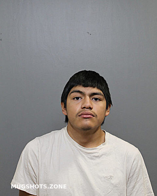 CHRISTIAN DIAZ 12/28/2024 - Chicago Mugshots Zone