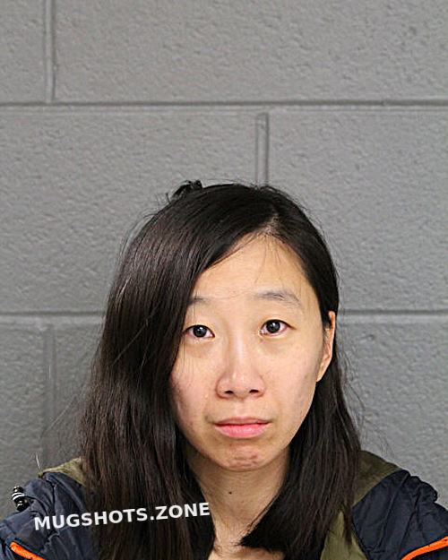 LI MEI LI 12/28/2024 - Chicago Mugshots Zone
