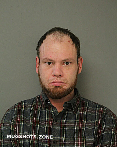 NATHAN LEE SHELTON 12/28/2024 - Chicago Mugshots Zone