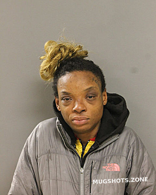 JOHNETTA R SMITH 12/30/2024 - Chicago Mugshots Zone