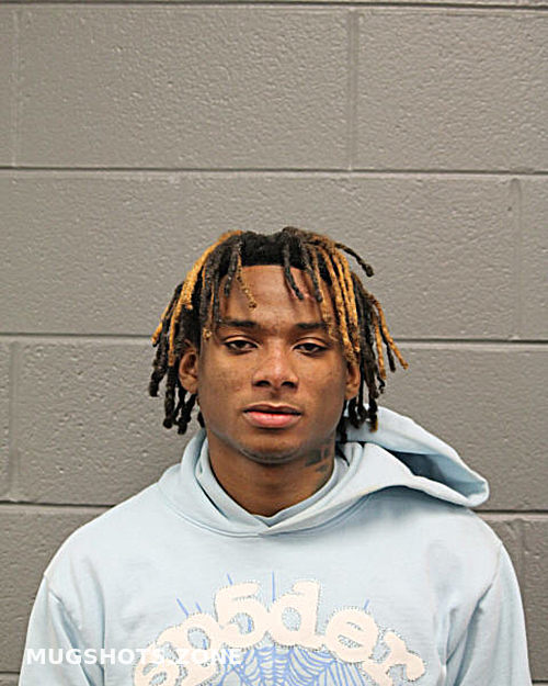 SHAUN ALEXANDER GOSS 01/01/2025 - Chicago Mugshots Zone