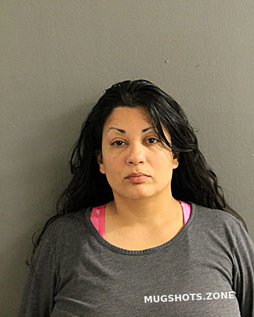 YANETTE BIANCA MUNOZ 01/01/2025 - Chicago Mugshots Zone