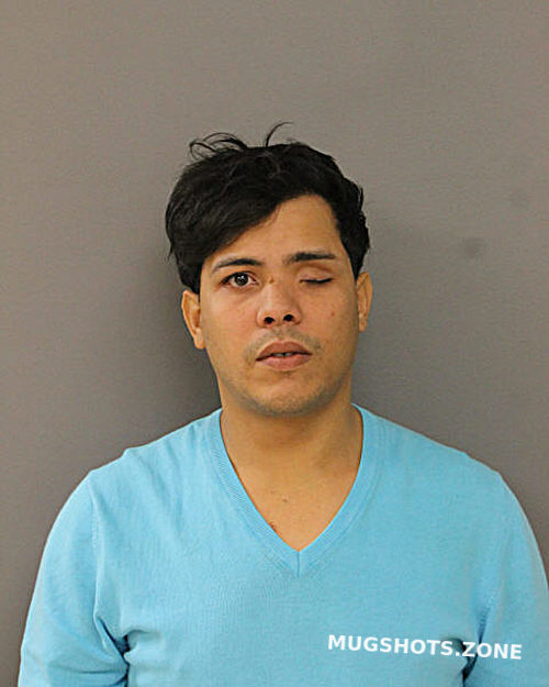 DANIEL ALEJANDRO RAMOS 01/02/2025 - Chicago Mugshots Zone