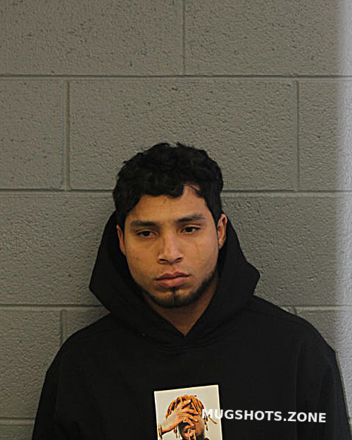 AUSTIN ALEXANDER MARTINEZ LEON 01/02/2025 - Chicago Mugshots Zone