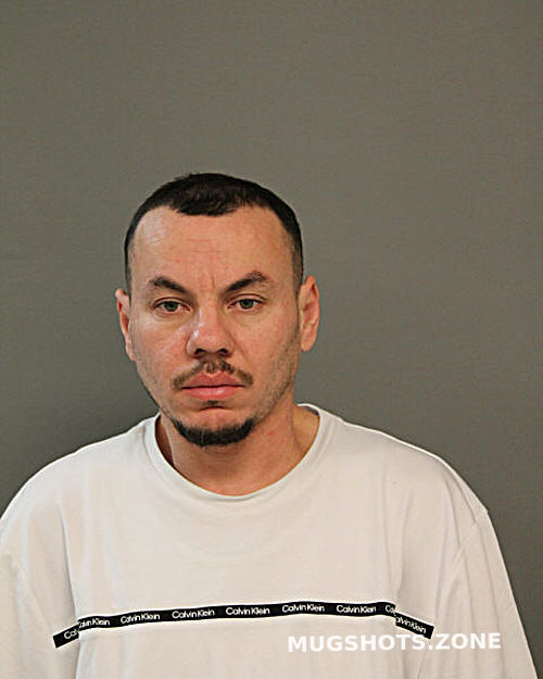 ENRIQUE SANCHEZ 01/02/2025 - Chicago Mugshots Zone
