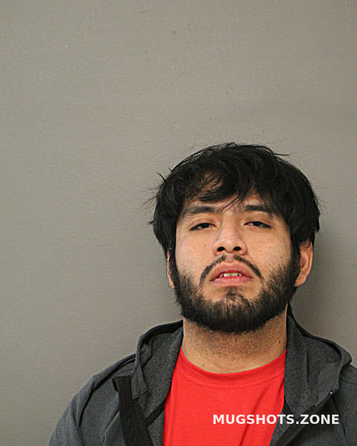 JOSE E MENDOZA ROJAS 01/03/2025 - Chicago Mugshots Zone