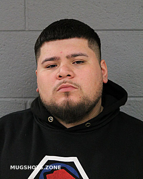 ANDY MEDINA-LOPEZ 01/03/2025 - Chicago Mugshots Zone