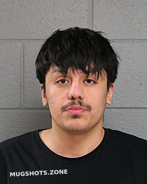 ERIC ANTHONY TORRES 01/04/2025 - Chicago Mugshots Zone