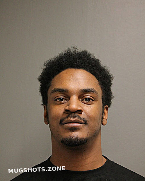 DAVID D LONG 01/05/2025 - Chicago Mugshots Zone
