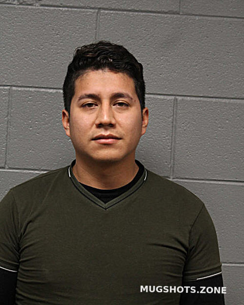 BRIAN SMITH ESTRADA CARANZA 01/05/2025 - Chicago Mugshots Zone