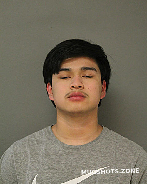 LEO M MEJIA LOPEZ 01/08/2025 - Chicago Mugshots Zone