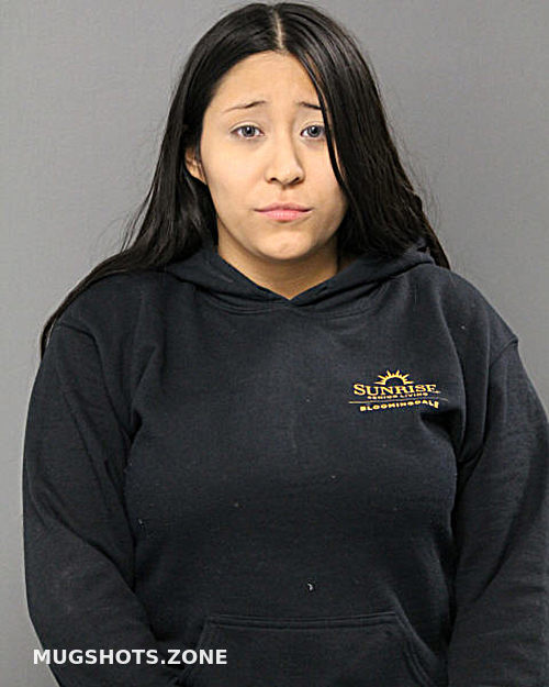 MA CALDERON 01/10/2025 - Chicago Mugshots Zone