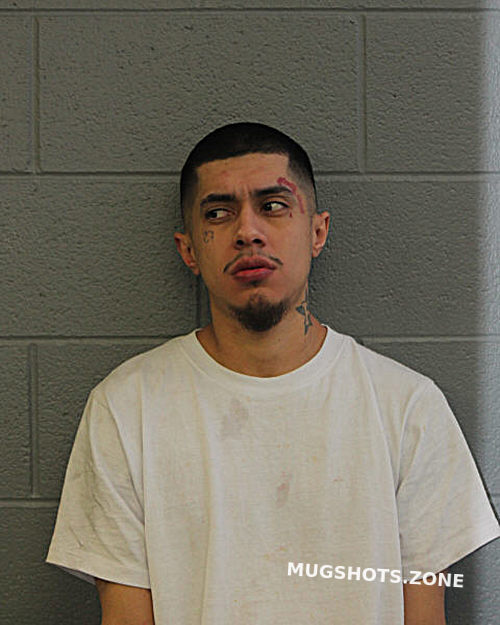 SERGIO SALGADO 01/10/2025 - Chicago Mugshots Zone