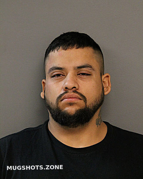 ANDRES H PINON 01/11/2025 - Chicago Mugshots Zone