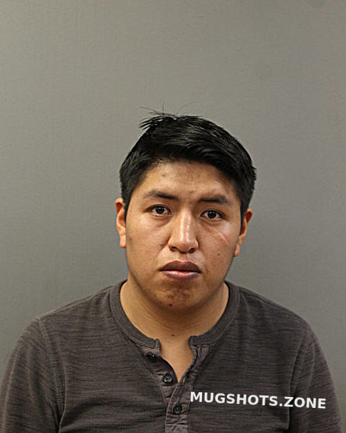 LUIS FAUSTO AYALA AYALA 01/11/2025 - Chicago Mugshots Zone