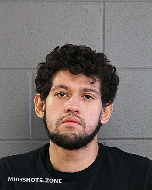 JUAN D ANGULO 01/11/2025 - Chicago Mugshots Zone