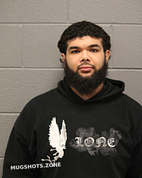 BRANDON AGEE 01/11/2025 - Chicago Mugshots Zone