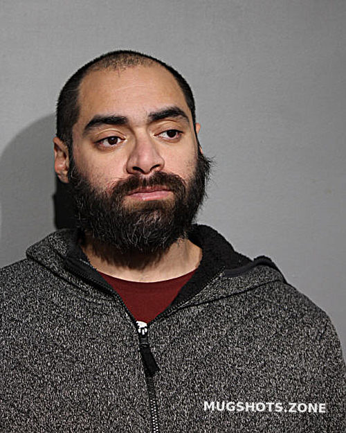 ZACHARY JAMES LADAS 01/12/2025 - Chicago Mugshots Zone