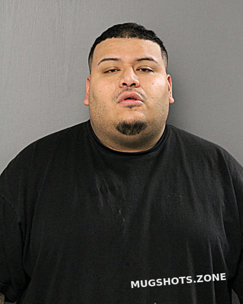 JONATHAN RODRIGUEZ 01/12/2025 - Chicago Mugshots Zone
