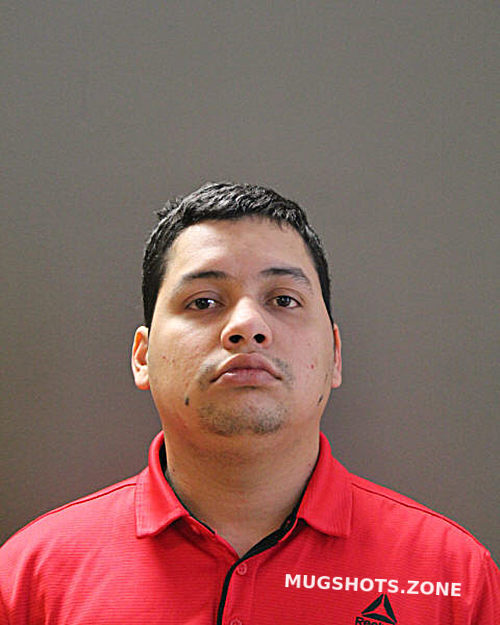 MICHAEL RINCON-ANAJA 01/13/2025 - Chicago Mugshots Zone