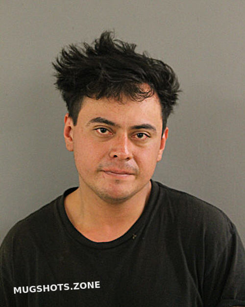 JOSE L RAMOS 01/14/2025 - Chicago Mugshots Zone