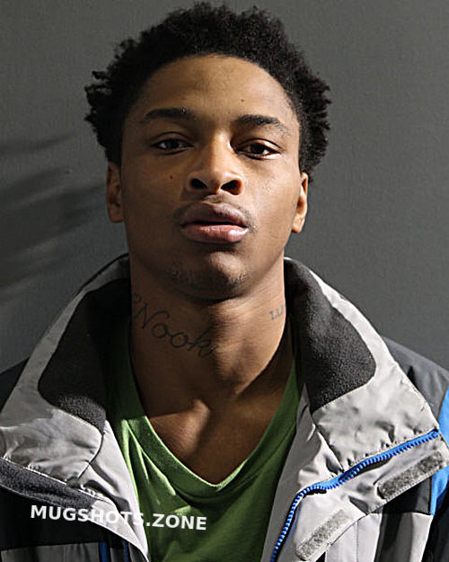 DAVID MITCHELL 01/15/2025 - Chicago Mugshots Zone